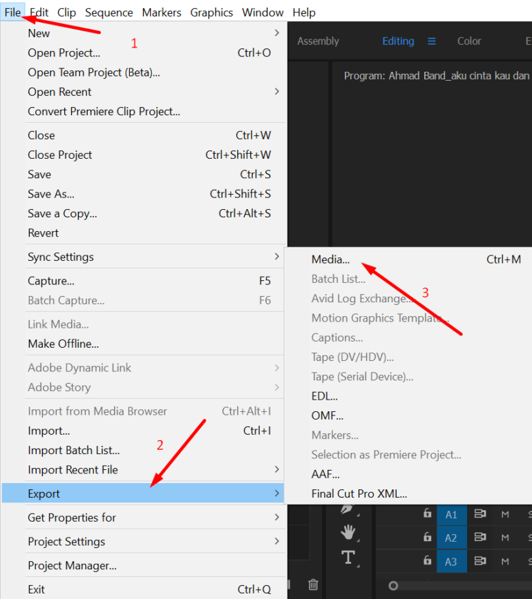Cara Export Adobe Premiere Untuk Media Sosial Bagi Pemula