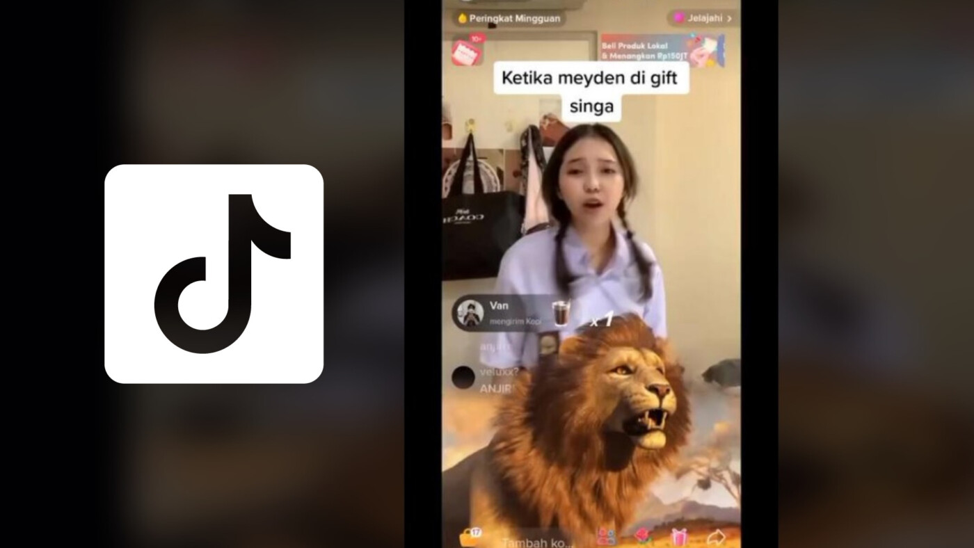 Inilah Harga Singa Di TikTok, Salah Satu Gift Termahal - ZenCreator