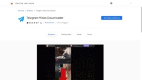 6 Telegram Video Downloader - ZenCreator