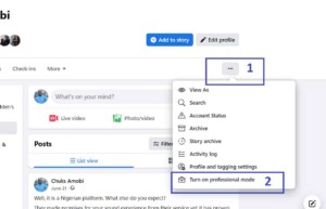 Cara Buat FB Pro Agar Mendapatkan Engagement Yang Tinggi - ZenCreator