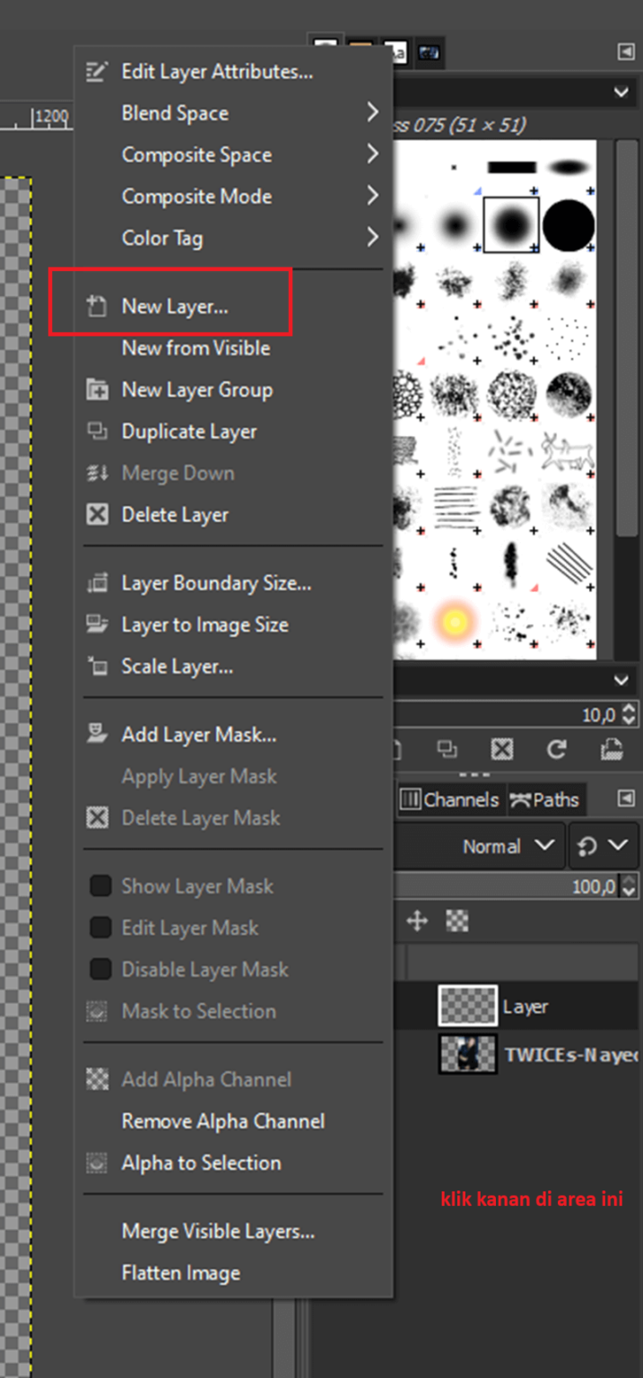 5 Cara Pakai GIMP (GNU Image Manipulation Program) untuk Pemula ...