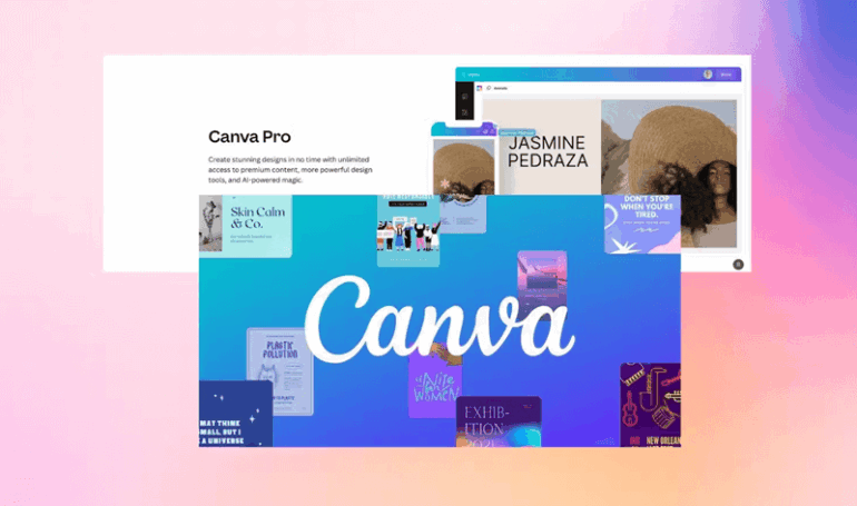 8 Perbedaan Canva Member dan Designer, Creator Pakai yang Mana? - ZenCreator