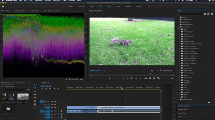 5 Perbedaan CapCut dan Adobe Premiere, Pilihan Tepat untuk Edit Video ...