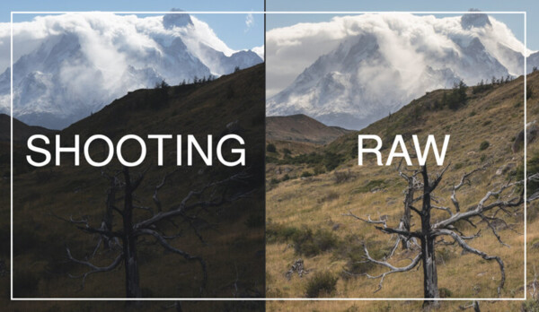 10 Jenis Format Gambar: Ada JPG, PNG, GIF, dan Lainnya - ZenCreator