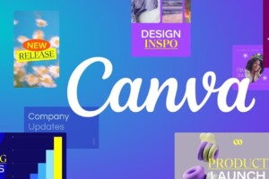 6 Perbedaan Canva Creator dan Contributor, Mana yang Lebih Cuan? - ZenCreator